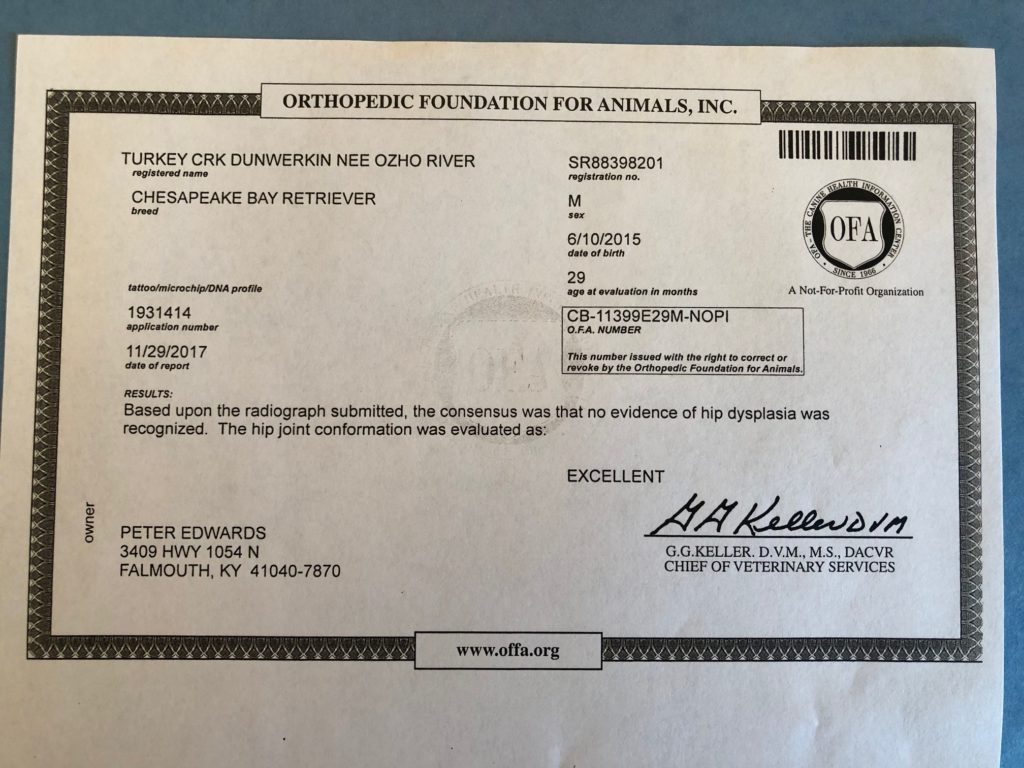 River-OFA-Hip-Certificate | Sky Pond Chesapeakes