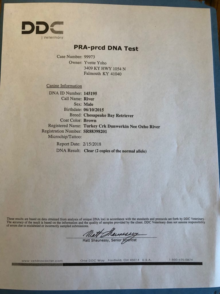 River-PRA-Test | Sky Pond Chesapeakes